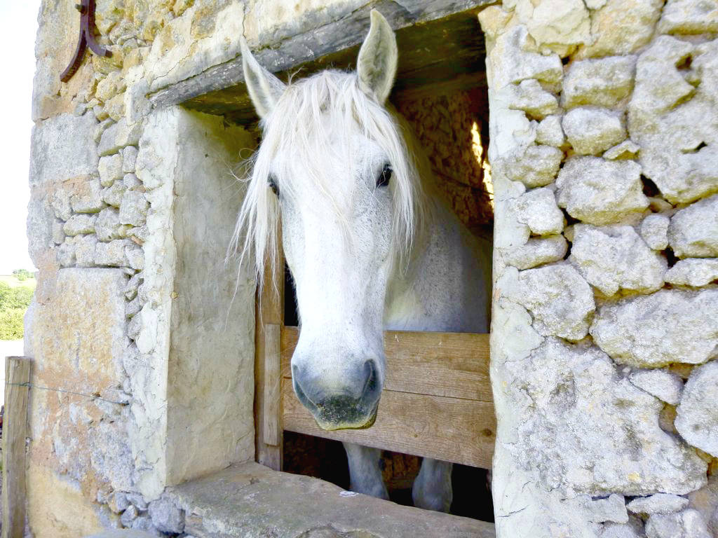 Boek nu La Marmette in de Dordogne via Dordognemaison.com